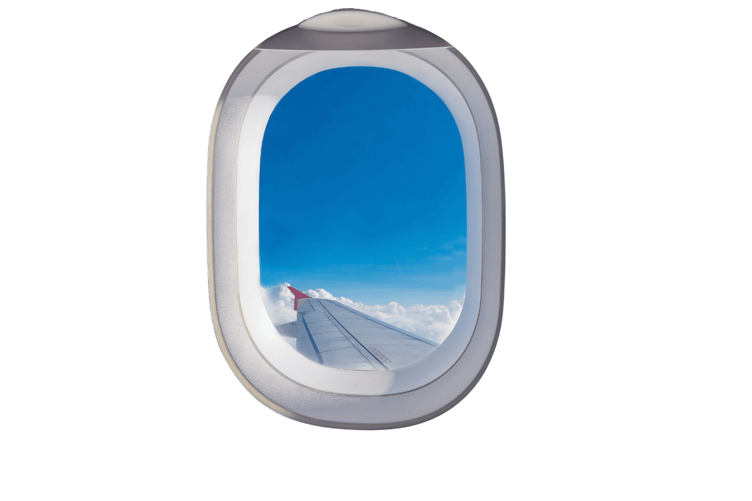 Domain Backorder Explained | Lexsynergy