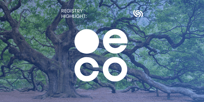 Registry Highlight: .ECO | Lexsynergy