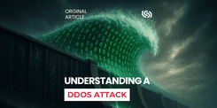 Understanding a DDoS Attack | Lexsynergy